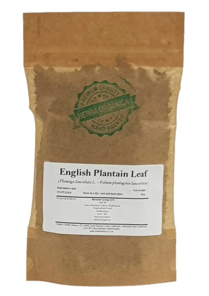 English Plantain Leaf - Plantago lanceolata - Herba Organica