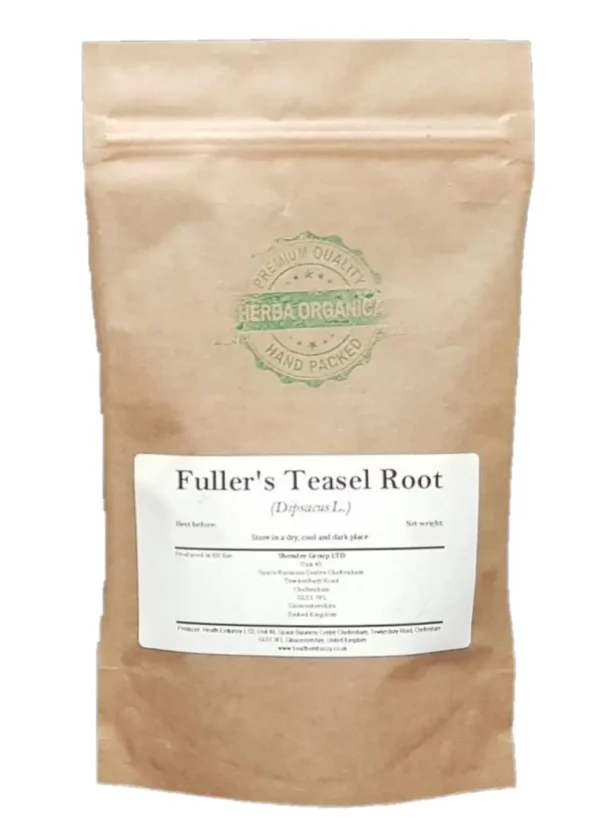 Fullers Teasel Root - Dipsacus fullonum L - Herba Organica