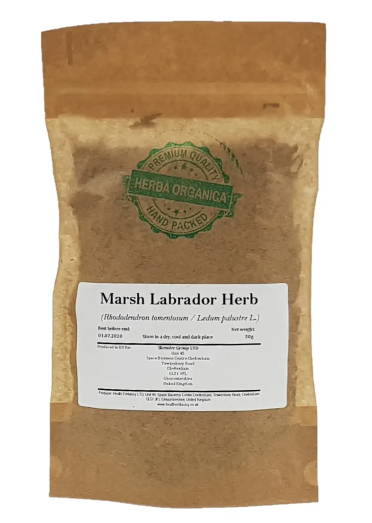 Marsh Labrador Herb - Ledum palustre - Herba Organica