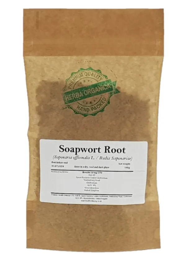 Soapwort Root - Saponaria officinalis L. - Herba Organica