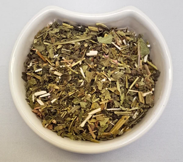 Wood Betony Herb - Stachys officinalis L. - Herba Organica